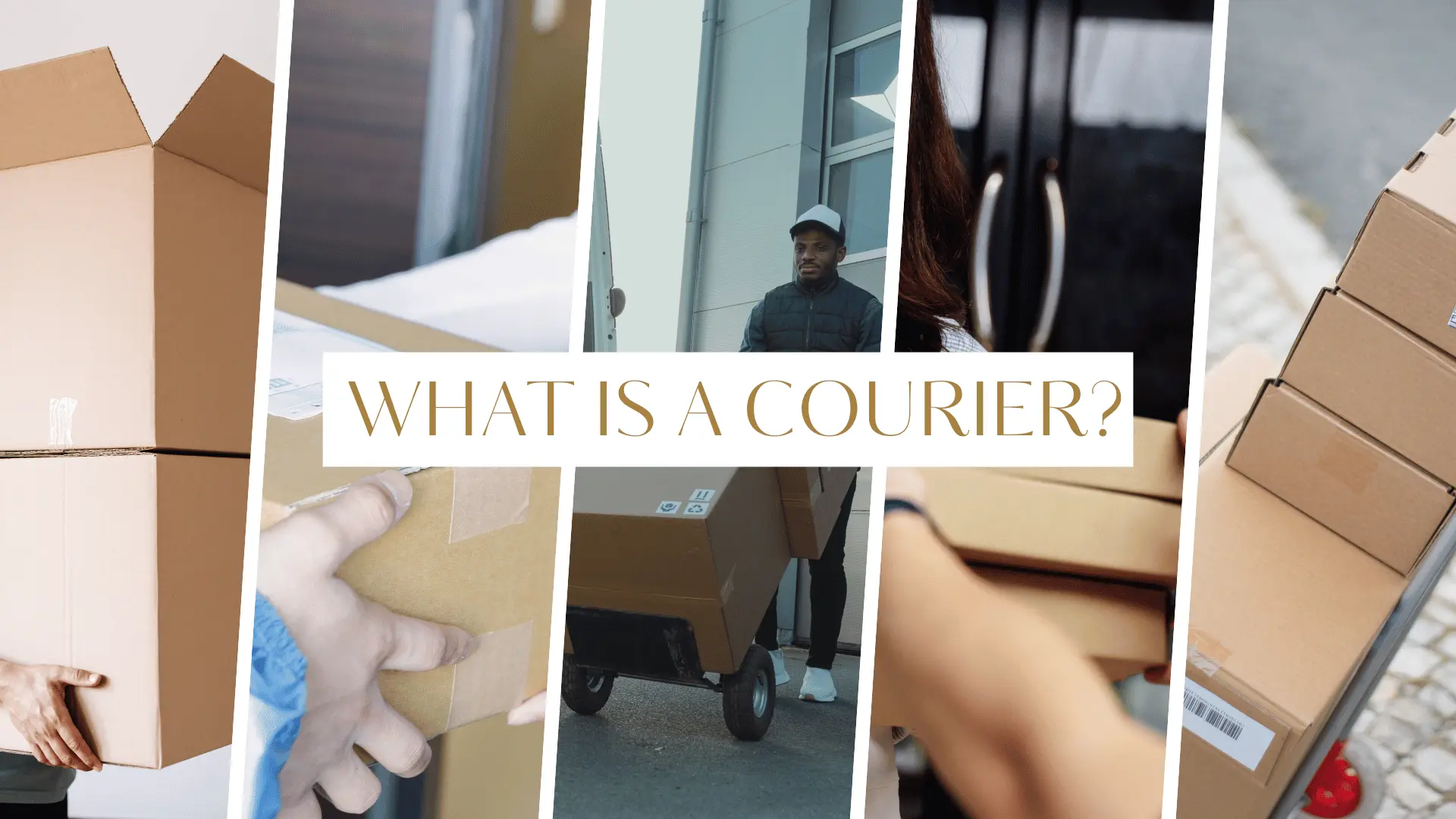 What Is A Courier? – Complete Guide To Courier Services
